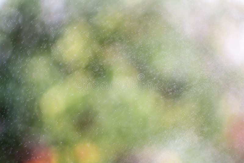 Abstract water mist stock photo. Image of nature, light - 88772476