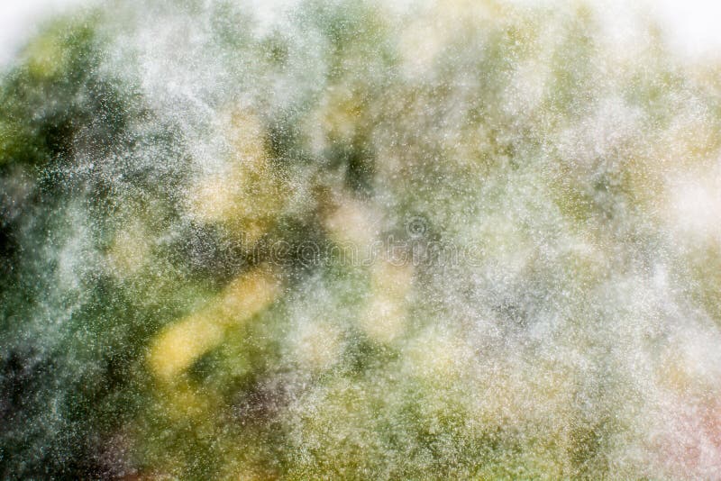 Abstract water mist stock image. Image of abstract, rain - 88772651