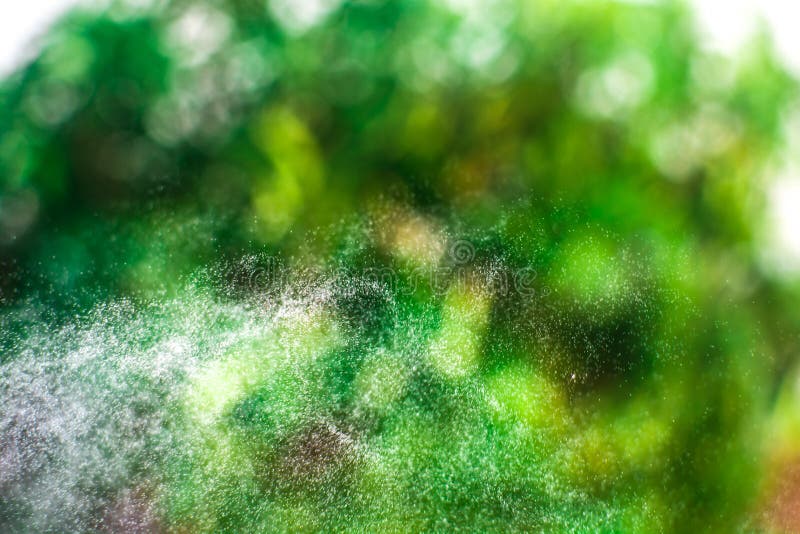 Abstract water mist stock photo. Image of steam, beauty - 88773096