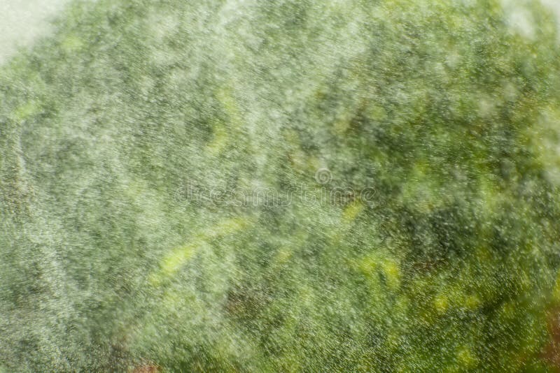 Abstract water mist stock image. Image of nature, background - 88773143