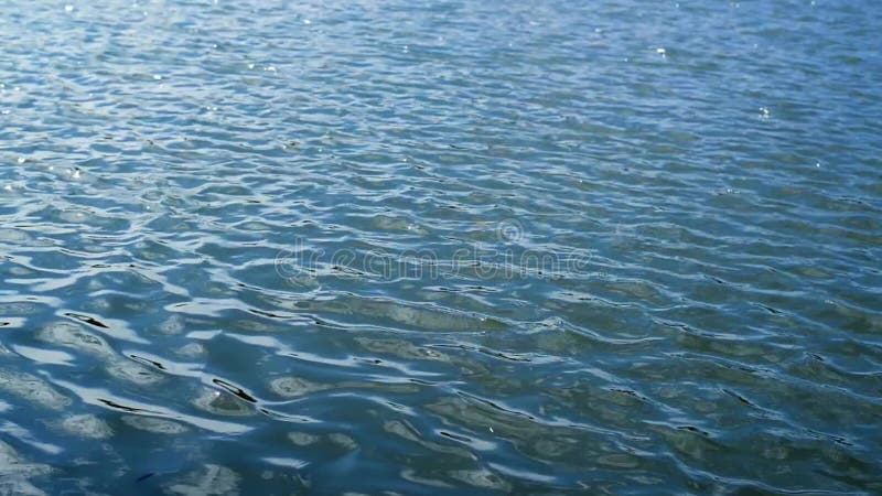 Water Ripple, Polluted Water, Polluted River. Dirty Foam Ripple. Static ...