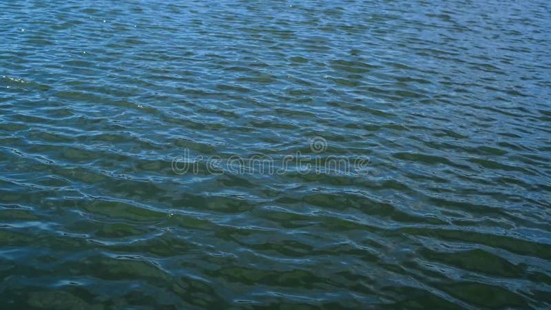 Water Ripple, Polluted Water, Polluted River. Dirty Foam Ripple. Static ...