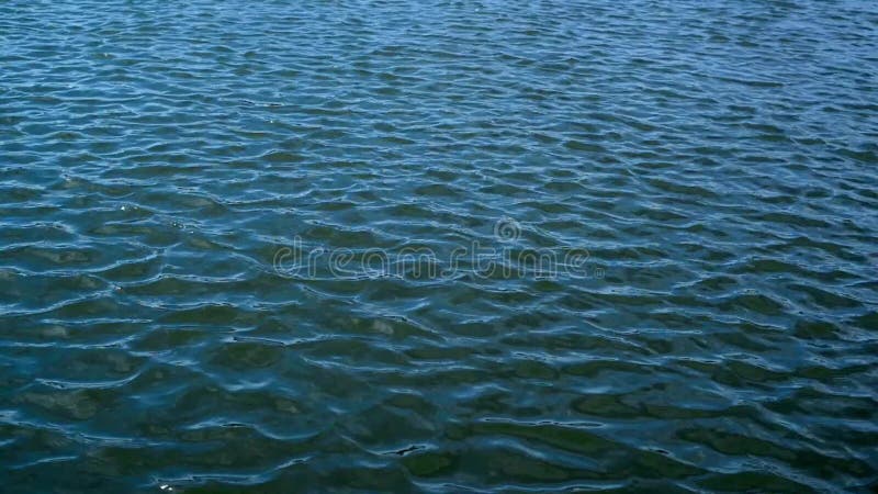 Abstract Water Vortex stock video. Video of blue, graphic - 334779711