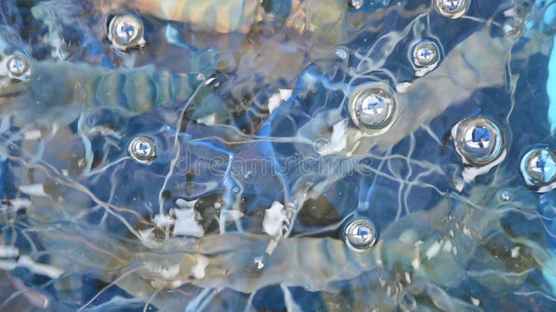 110,449 Abstract Water Surface Bubble Stock Photos - Free & Royalty ...