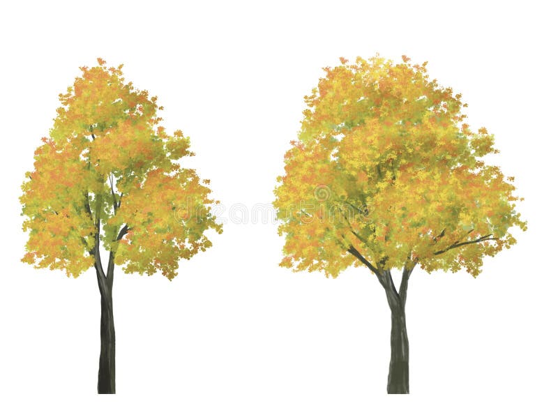 Tree Side View for Landscape Plan Stock Illustration - Illustration of ...