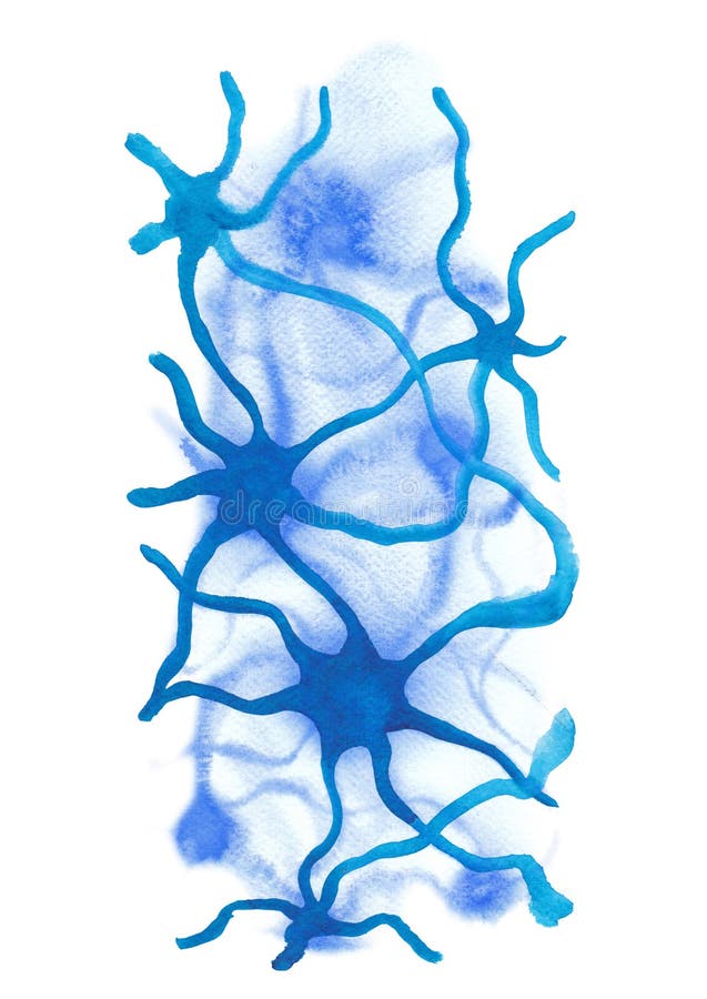 Abstract Watercolor Pattern of a Neuron Connections Isolated on a White ...