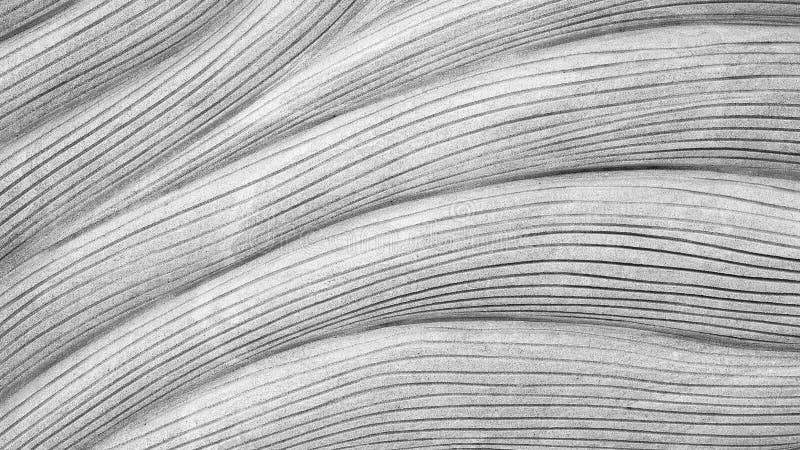 Curve Pattern On Concrete Wall. Stock Photo - Image of hand, line: 40277482