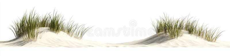 An Abstract Wave-like Background with Sea Oats and Beach Grass Stock ...