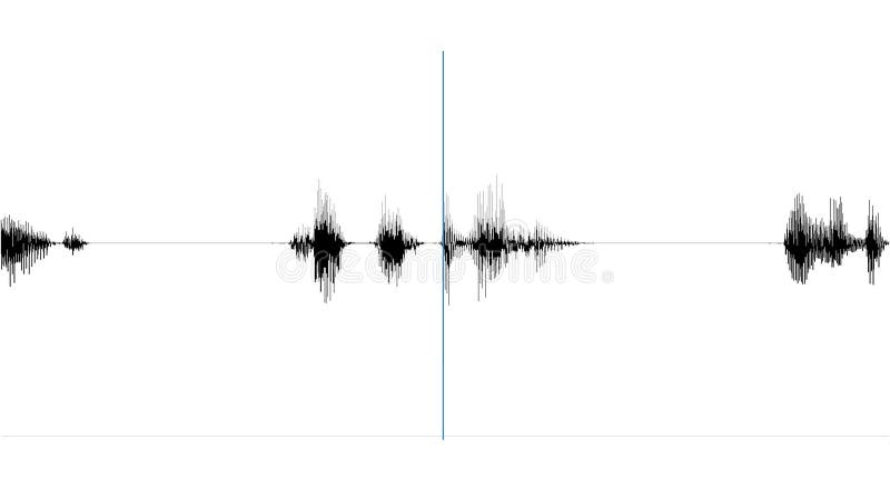 Abstract Wave Motion Equalizer. Audio Waveform Equalizer Spectrum, Music Equalizer, Sound ...