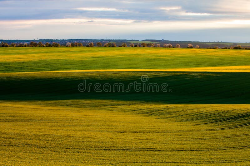 Abstract Waves in the Fields Stock Photo - Image of cloud, rural: 63274852