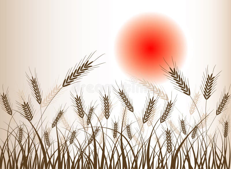 Wheat Background Stock Illustrations – 205,781 Wheat Background Stock ...
