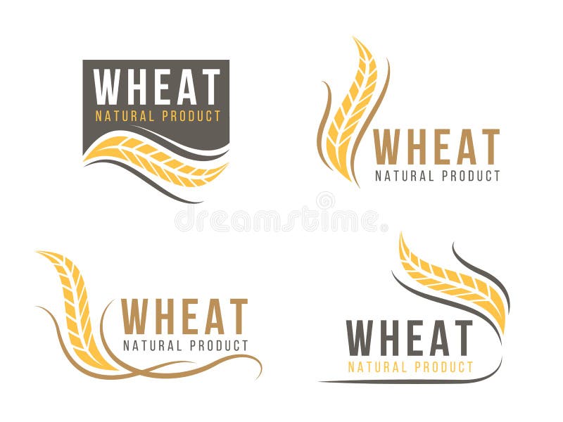 Abstract Wheat Rice Logo Sign Vector Design Stock Vector - Illustration ...