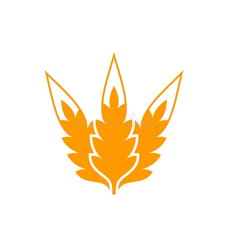 Abstract wheat stock vector. Illustration of yellow, design - 95159594