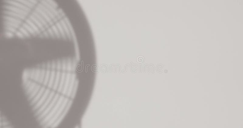 Abstract White Background. Light. Shadow. Fan. Stock Video - Video of ...