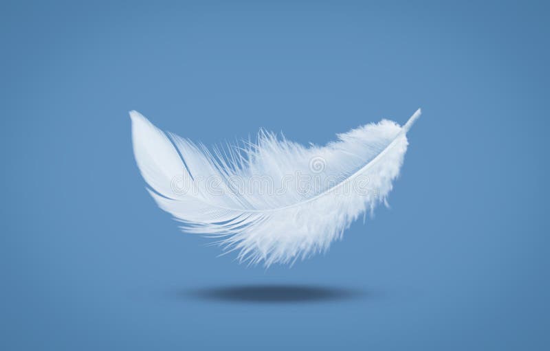 Abstract White Bird Feather Falling in the Air. Float Feather Stock ...