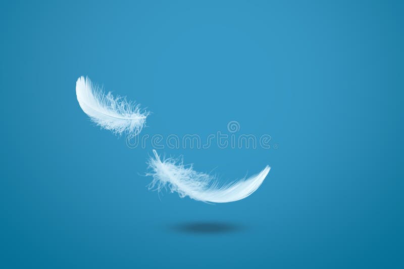 Abstract White Bird Feathers Falling in the Air Stock Illustration ...