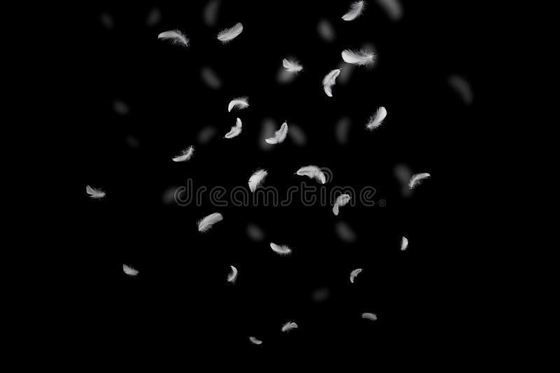 Abstract White Bird Feathers Falling in the Air. Feathers Floating on ...