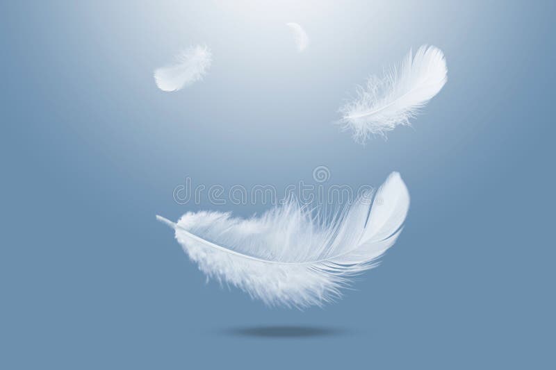 Floating Feathers Banner Stock Illustrations – 103 Floating Feathers ...