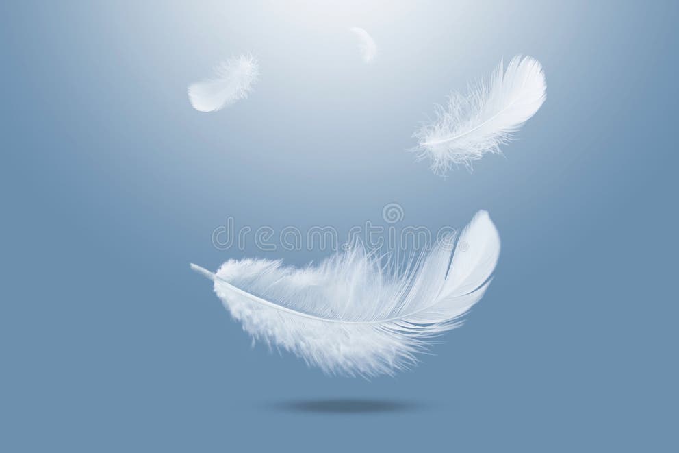 Abstract White Bird Feathers Falling in the Air. Floating Feathers in ...