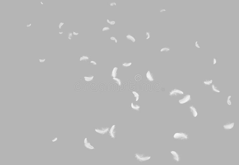 Abstract White Bird Feathers Falling in the Air. Floating Feathers ...