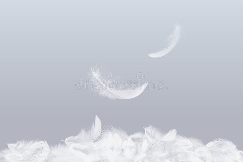 Falling Feathers Background