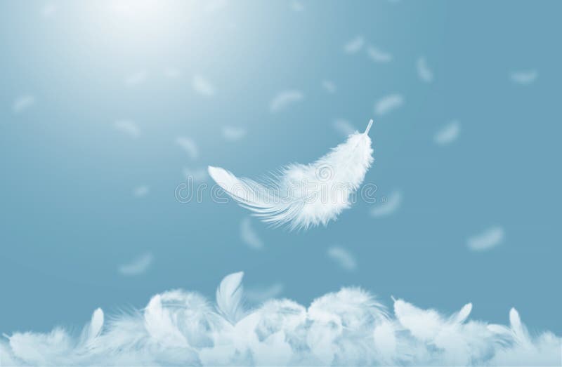 Abstract White Bird Feathers Falling in a Blue Sky. Softness of ...