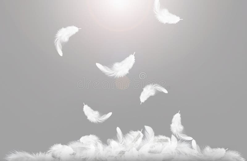 Feather Floating Abstract Stock Illustrations – 1,200 Feather Floating ...