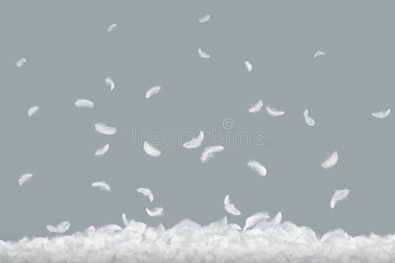 Abstract White Bird Feathers Falling on Floor. Softness of Feather on ...