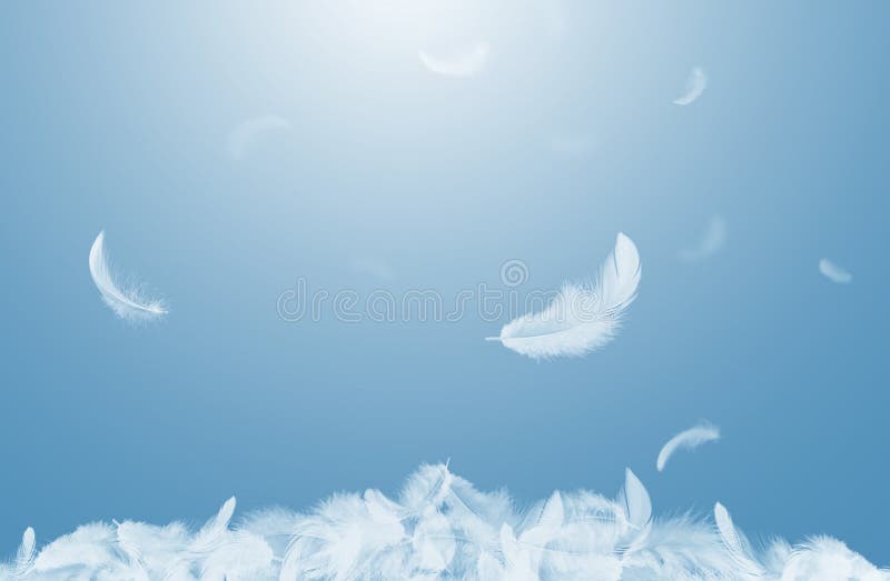 Abstract White Bird Feathers Falling on Floor. Softness of Floating ...