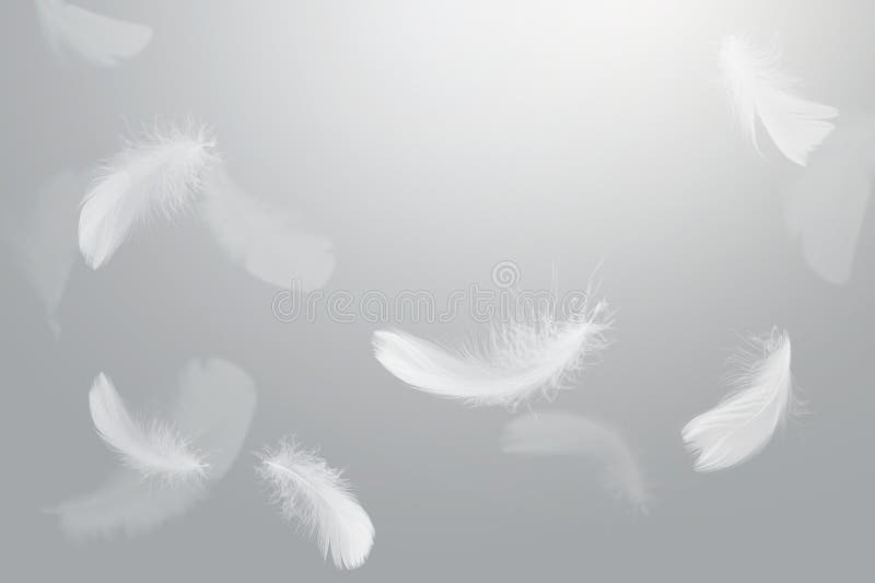 Abstract White Bird Feathers Falling in the Sky. Feathers Floating in ...