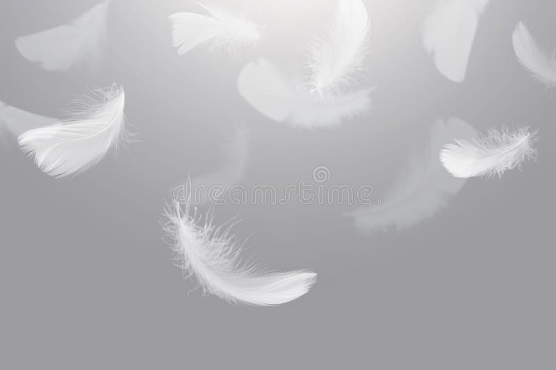 Abstract White Bird Feathers Falling in the Sky. Feathers Floating in ...