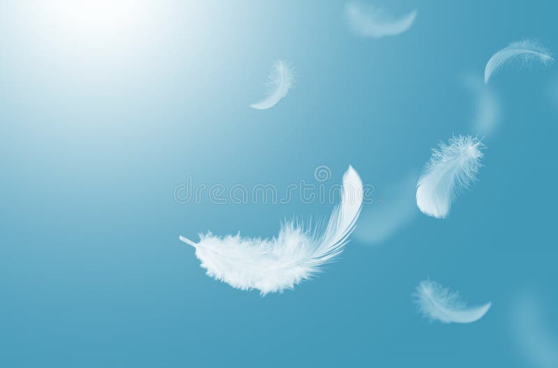 Abstract White Bird Feathers Falling in the Sky. Feathers Floating in ...