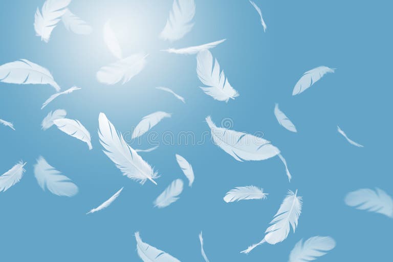 Abstract White Bird Feathers Falling in the Sky. Feathers Floating in ...