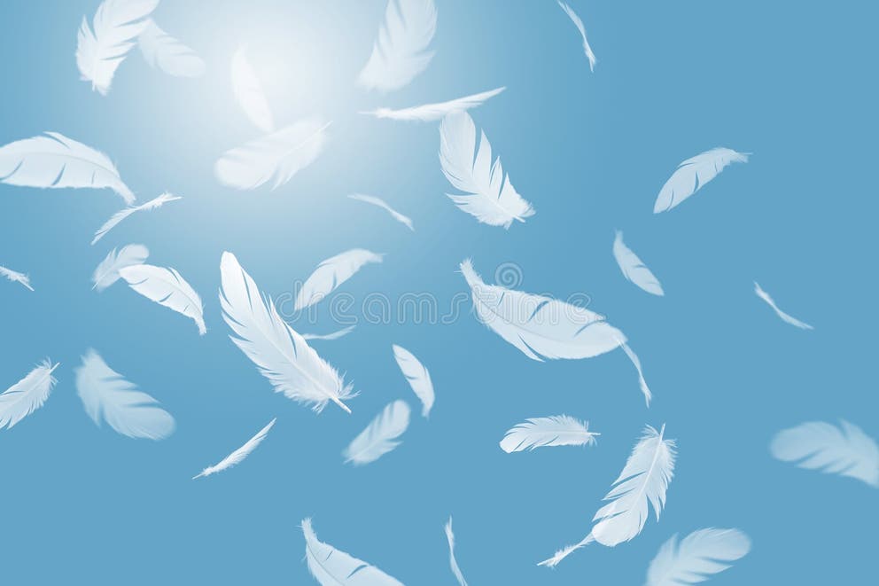Abstract White Bird Feathers Falling in the Sky. Feathers Floating in ...