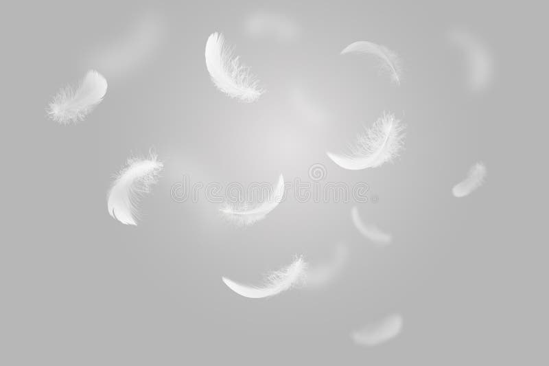 Falling White Feathers