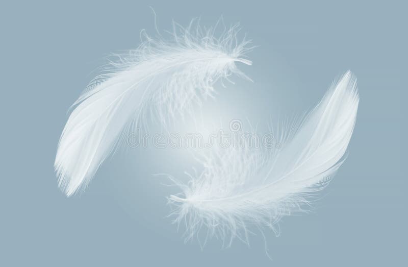 Feather Floating Logo Stock Illustrations – 298 Feather Floating Logo ...
