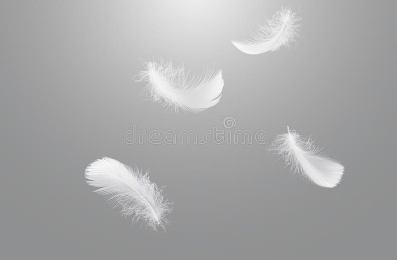 Abstract White Bird Feathers Falling in the Sky. Softness of Feathers ...