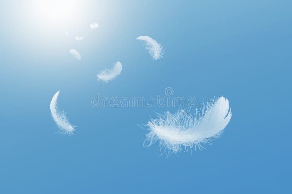 Abstract White Bird Feathers Floating in a Blue Sky. Freedom, Feather ...