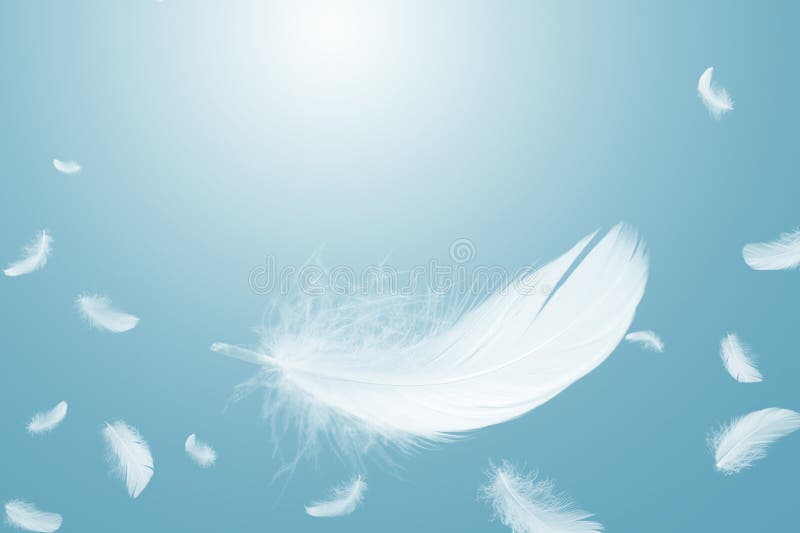 Abstract White Bird Feathers Floating in a Blue Sky. Softness of ...