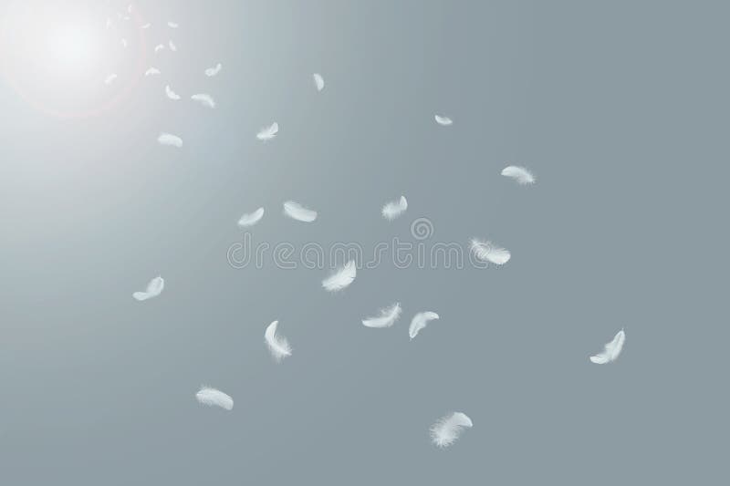 Abstract White Bird Feathers Floating in the Sky. Freedom, Feather ...