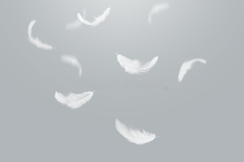 Abstract White Bird Feathers Floating in the Sky. Freedom, Feather ...