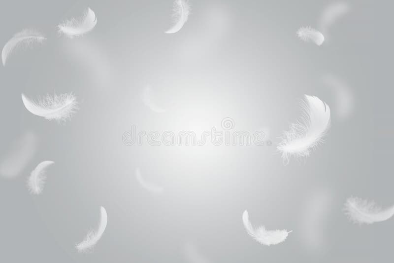Abstract White Bird Feathers Floating in the Sky. Freedom, Feather ...