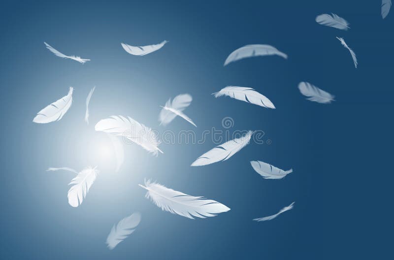 Floating Feathers Banner Stock Illustrations – 103 Floating Feathers ...