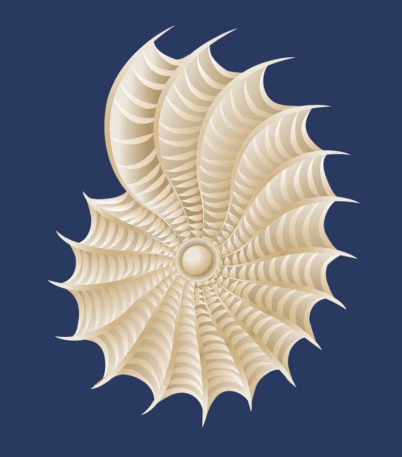 Abstract white cockleshell stock vector. Illustration of blue - 45340496