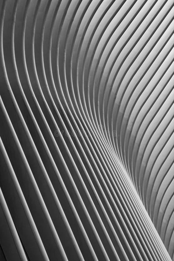 Abstract White 3d Interior with Curved Elements, Geometric Background ...