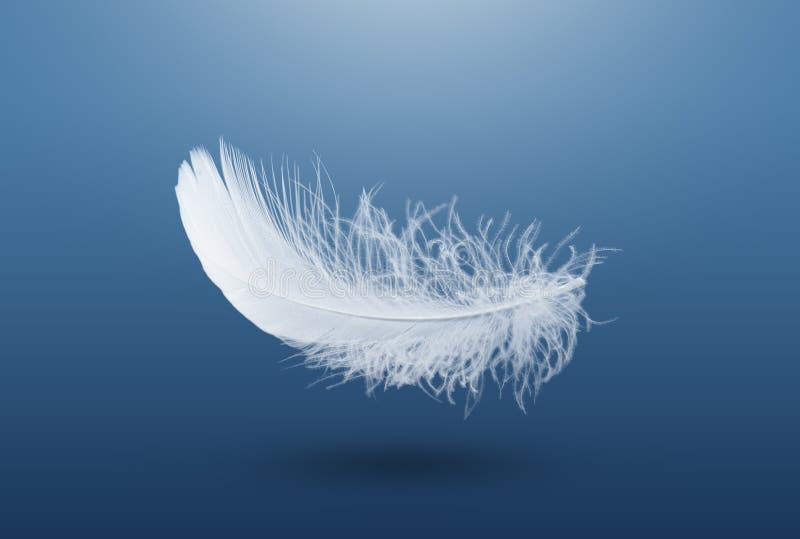 Feather Floating Abstract Stock Illustrations – 1,652 Feather Floating ...