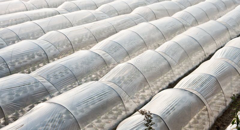 Abstract white greenhouses stock photo. Image of enclosed - 8877128