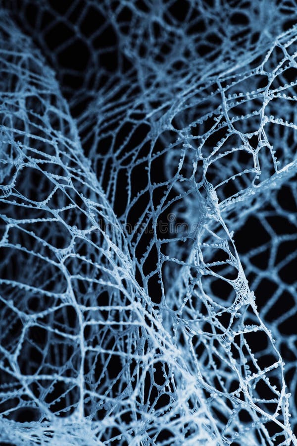 Abstract White Net Background Stock Photo - Image of closeup, spider ...