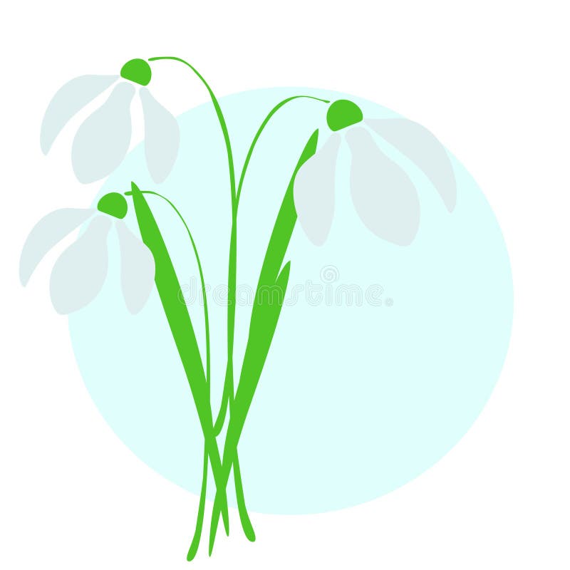 Abstract White Snowdrops Flowers on Blue, Vector Design Eps 10 Stock ... Abstract White Snowdrops Flowers on Blue, Vector Design Eps 10 Stock ...