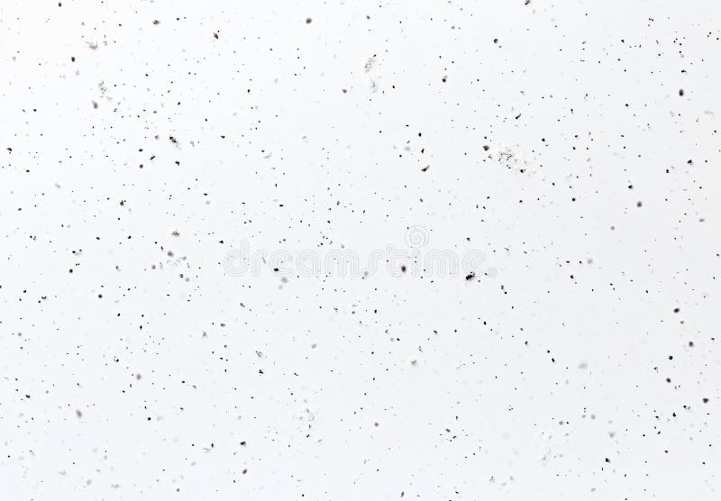 Abstract White Speckled Texture Background, High Quality Image Stock ...